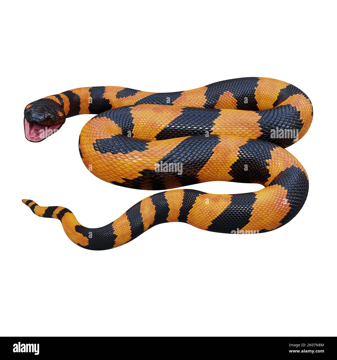 Bismarck beringte python -Fotos und -Bildmaterial in hoher Auflösung ...