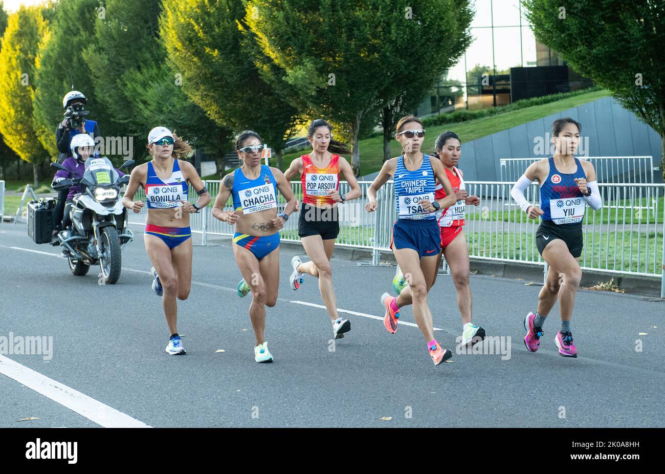 Puma kit -Fotos und -Bildmaterial in hoher Auflösung – Alamy