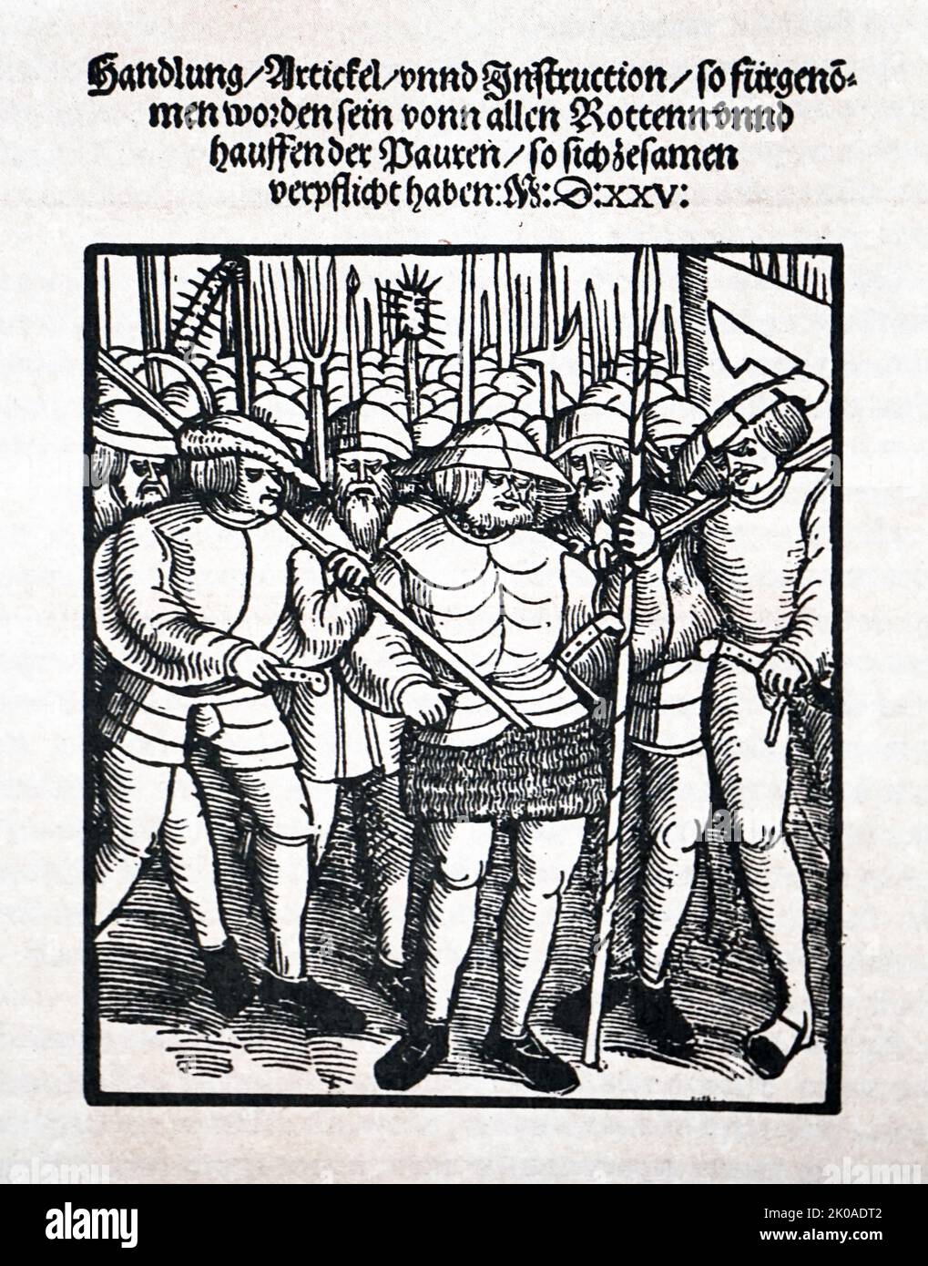 Zwolf artikel -Fotos und -Bildmaterial in hoher Auflösung – Alamy