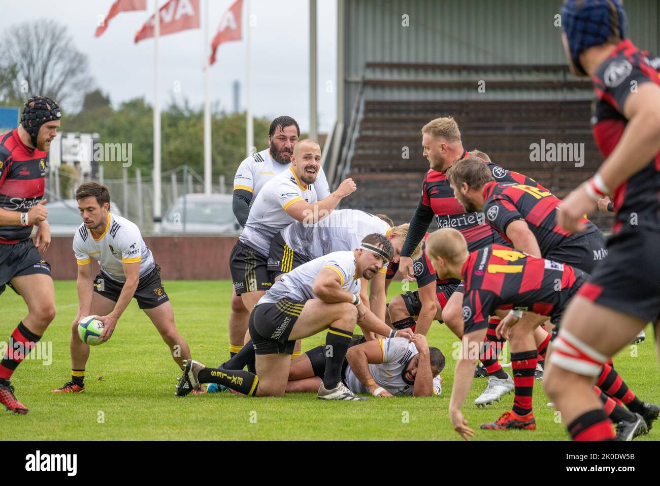 Stockholmer exilanten -Fotos und -Bildmaterial in hoher Auflösung – Alamy