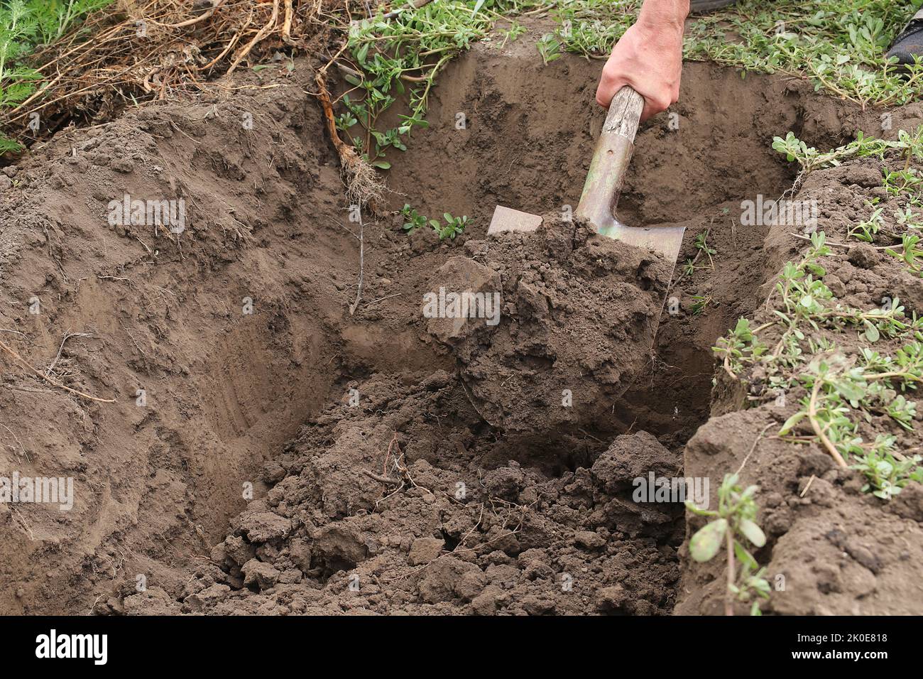 Gräbt grube -Fotos und -Bildmaterial in hoher Auflösung – Alamy