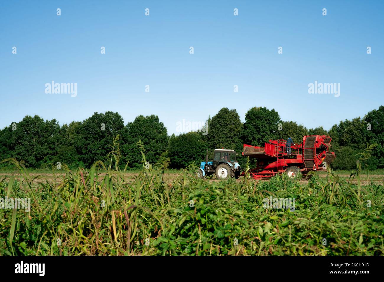 Beet harvester -Fotos und -Bildmaterial in hoher Auflösung – Alamy