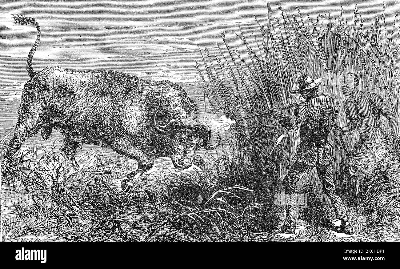 Jagd a -Fotos und -Bildmaterial in hoher Auflösung – Alamy