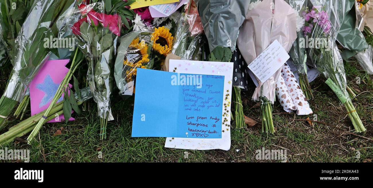 Blumensträuße, schriftliche Ehrungen, Kuscheltiere, Kerzen und Karten ...