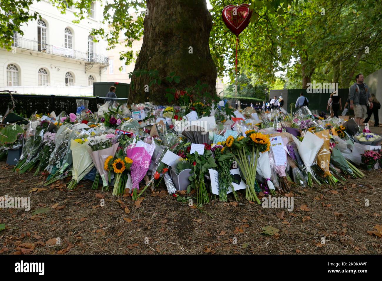 Blumensträuße, schriftliche Ehrungen, Kuscheltiere, Kerzen und Karten ...