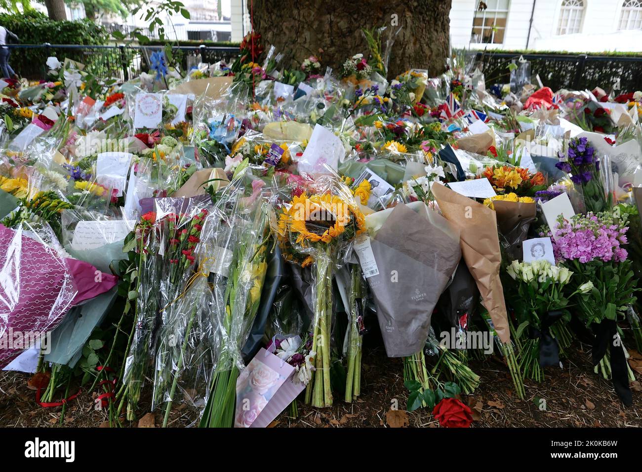 Blumensträuße, schriftliche Ehrungen, Kuscheltiere, Kerzen und Karten ...