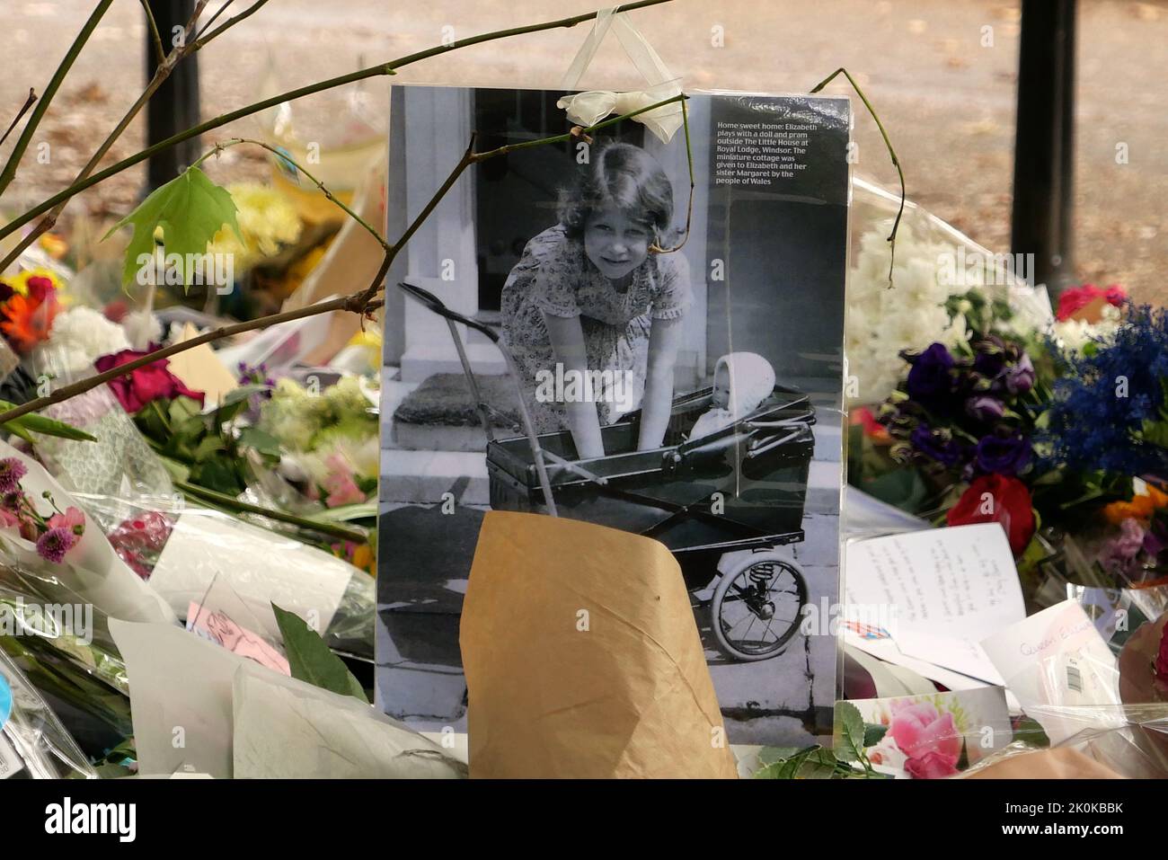 Blumensträuße, schriftliche Ehrungen, Kuscheltiere, Kerzen und Karten ...