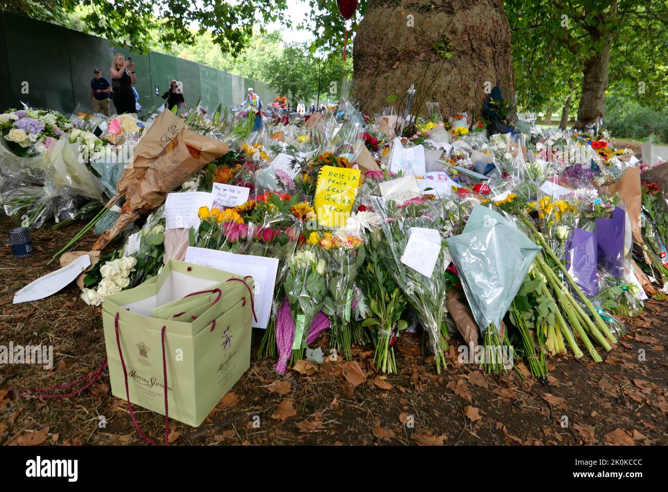 Blumensträuße, schriftliche Ehrungen, Kuscheltiere, Kerzen und Karten ...