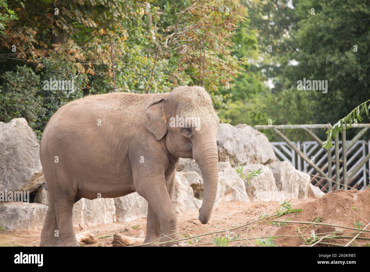 Auf gute kamera aufgenommen -Fotos und -Bildmaterial in hoher Auflösung ...