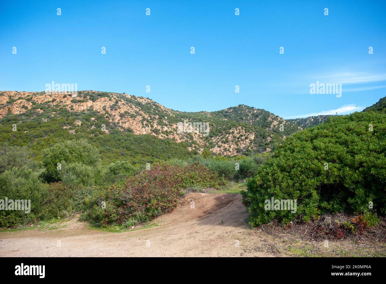 Nora sommer -Fotos und -Bildmaterial in hoher Auflösung – Alamy