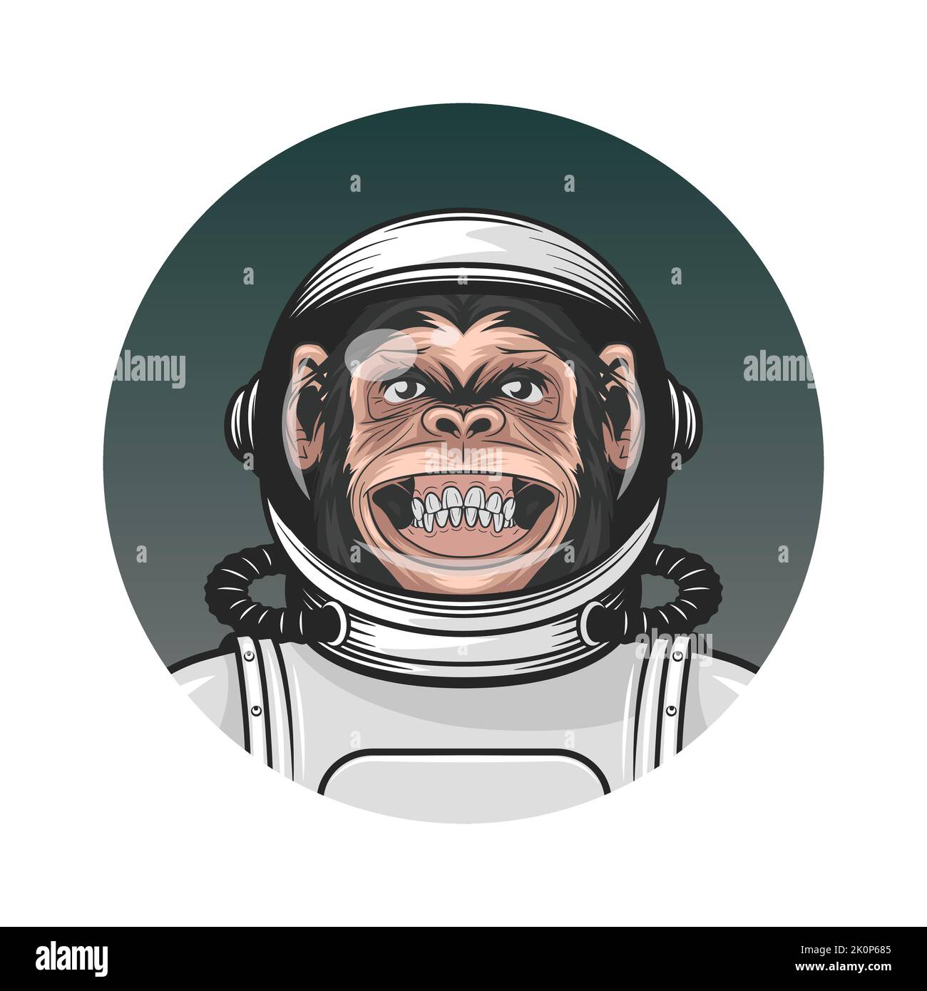 Astronaut affe -Fotos und -Bildmaterial in hoher Auflösung – Alamy