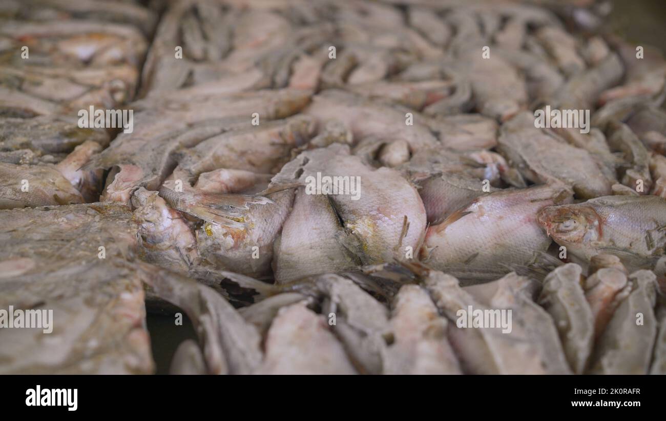 Gekühlte fleischprodukte -Fotos und -Bildmaterial in hoher Auflösung ...