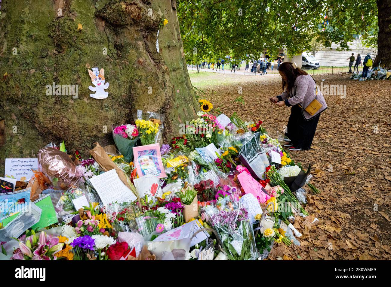 Trauernde legen Blumen, Karten und ausgestopfte Tiere in Londons Green ...