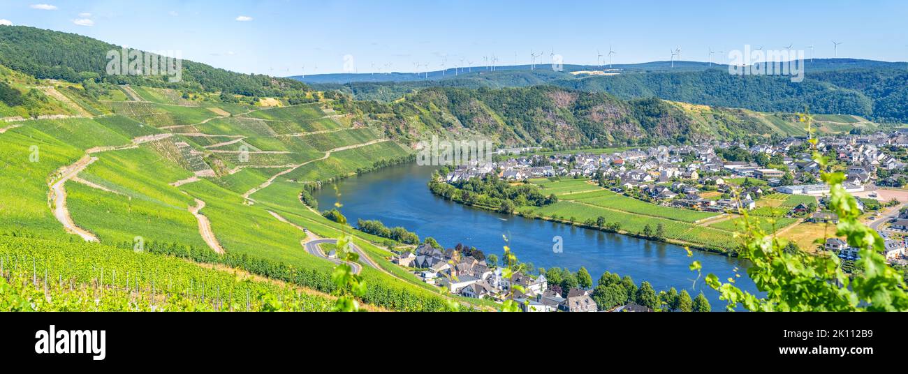 Blick über das Moseltal in Piesport, Deutschland Stockfotografie - Alamy