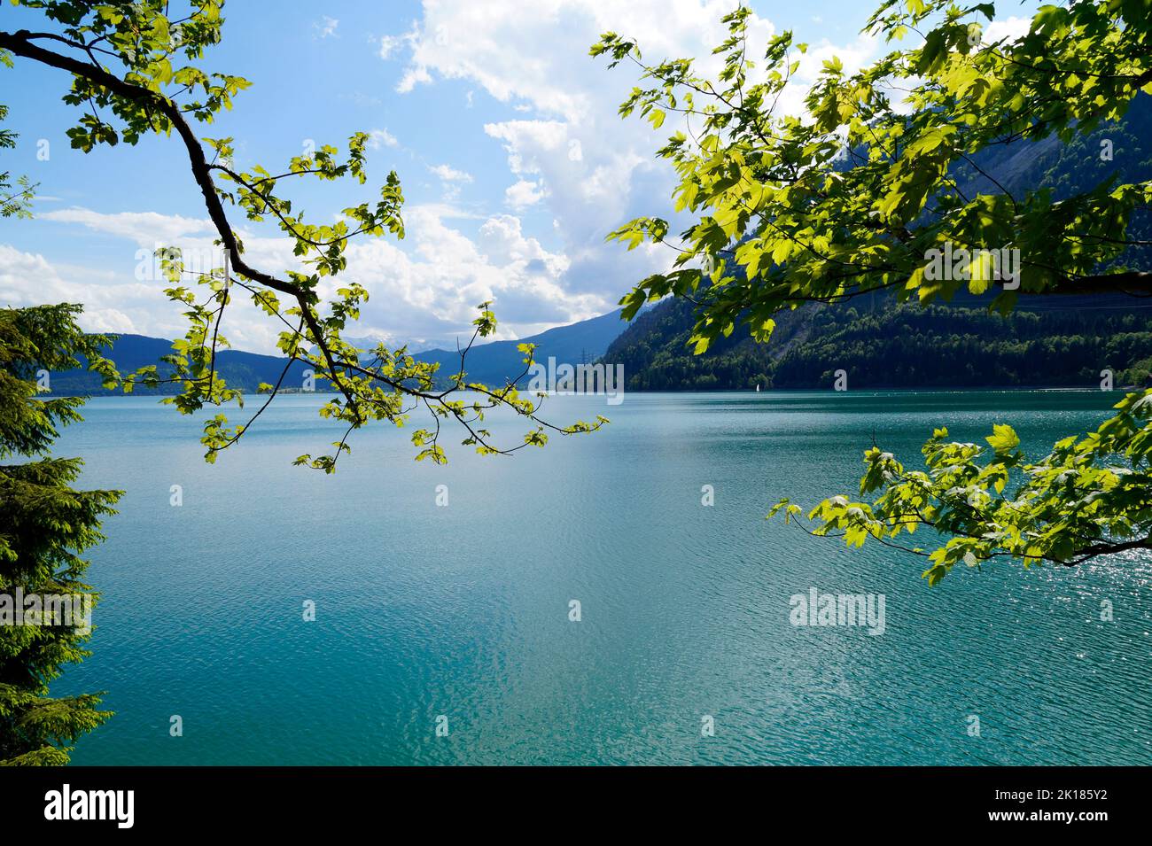 smaragdgrünes Wasser des Walchensee oder des Walchensees, einer der ...
