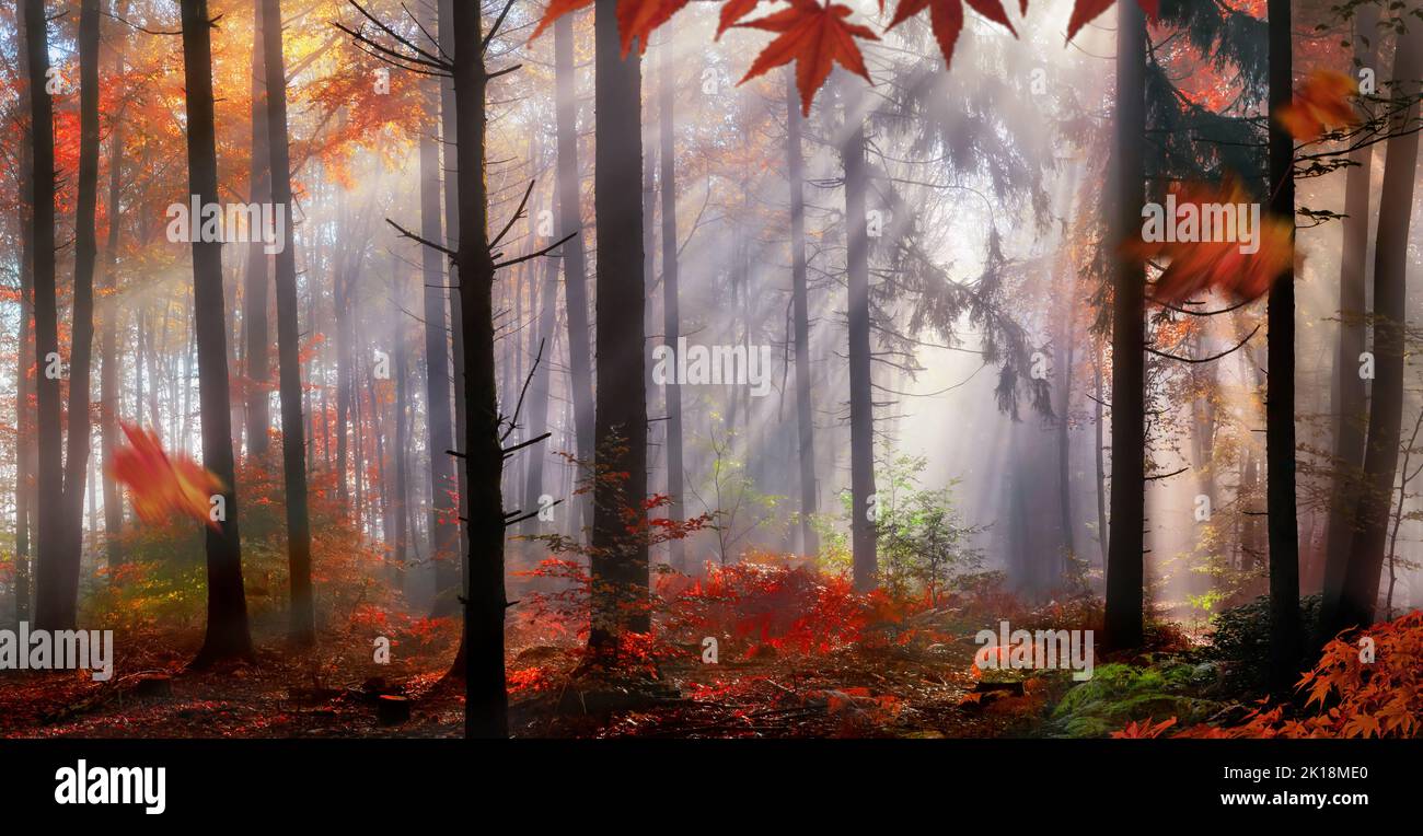 Wunderschöne farben -Fotos und -Bildmaterial in hoher Auflösung – Alamy