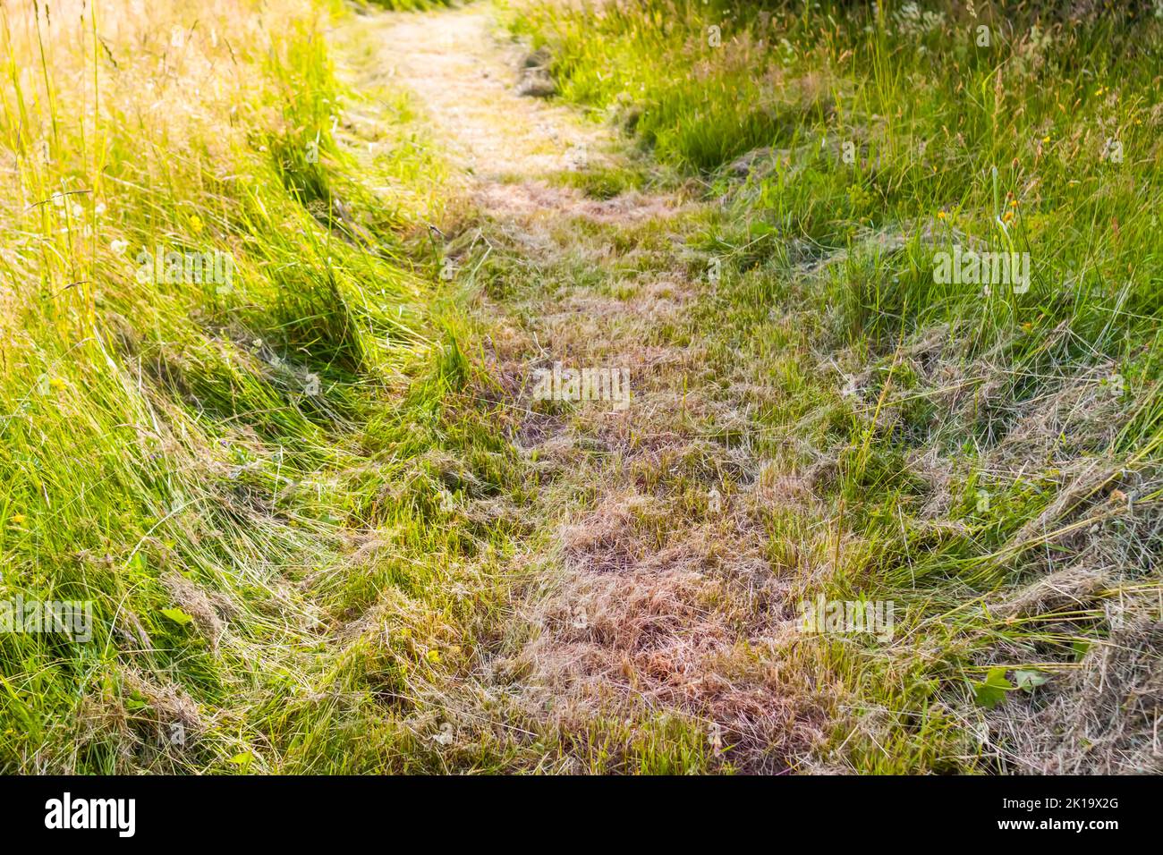 Breiter fußweg -Fotos und -Bildmaterial in hoher Auflösung – Alamy