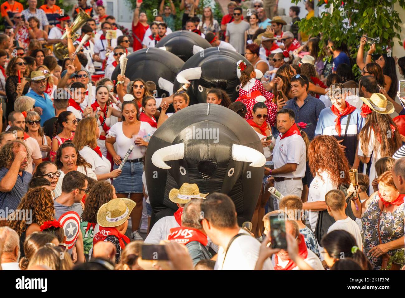 Aufblasbare bullen -Fotos und -Bildmaterial in hoher Auflösung – Alamy