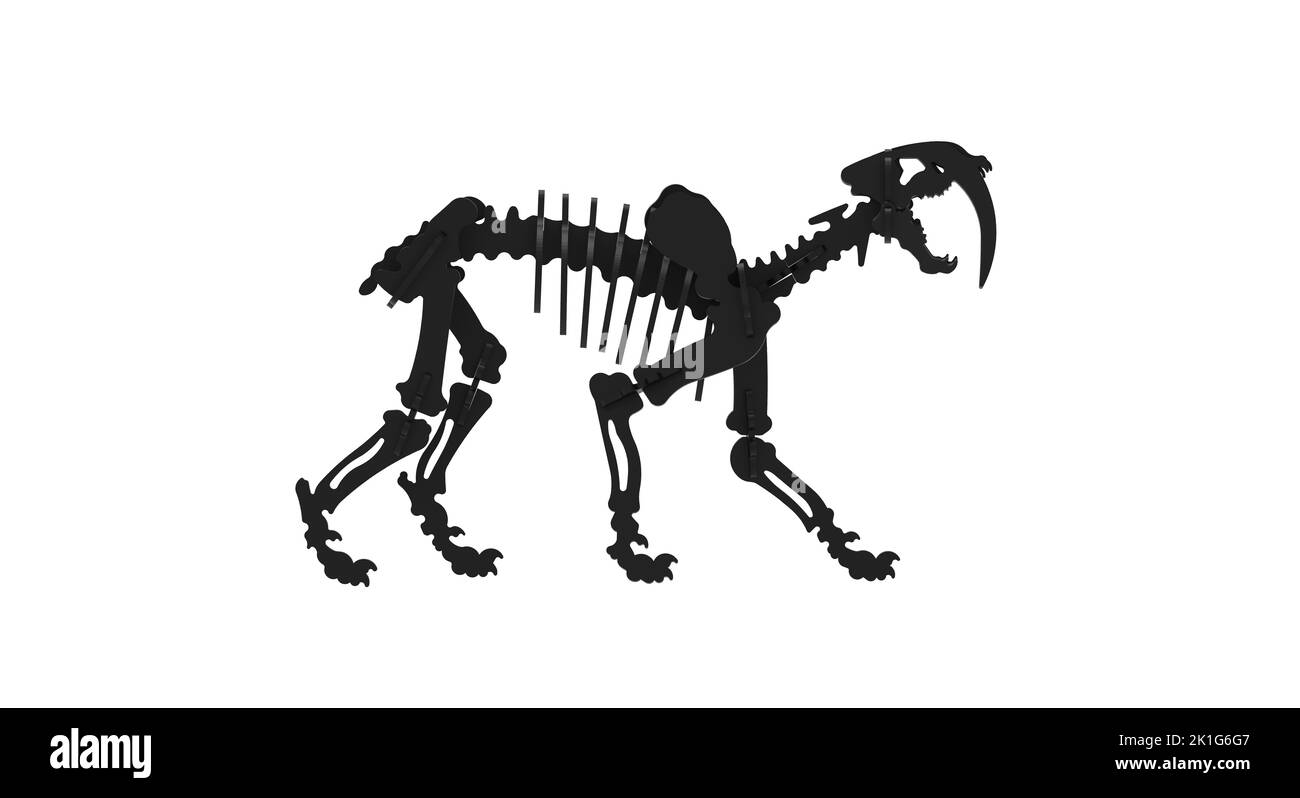 3D Darstellung eines Smilodon-Skeletts oder Säbelzahntigers eine ...