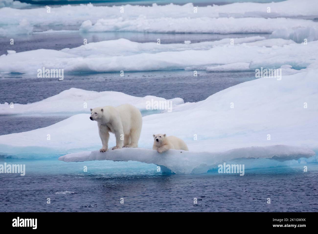 Viscount melville sound -Fotos und -Bildmaterial in hoher Auflösung – Alamy