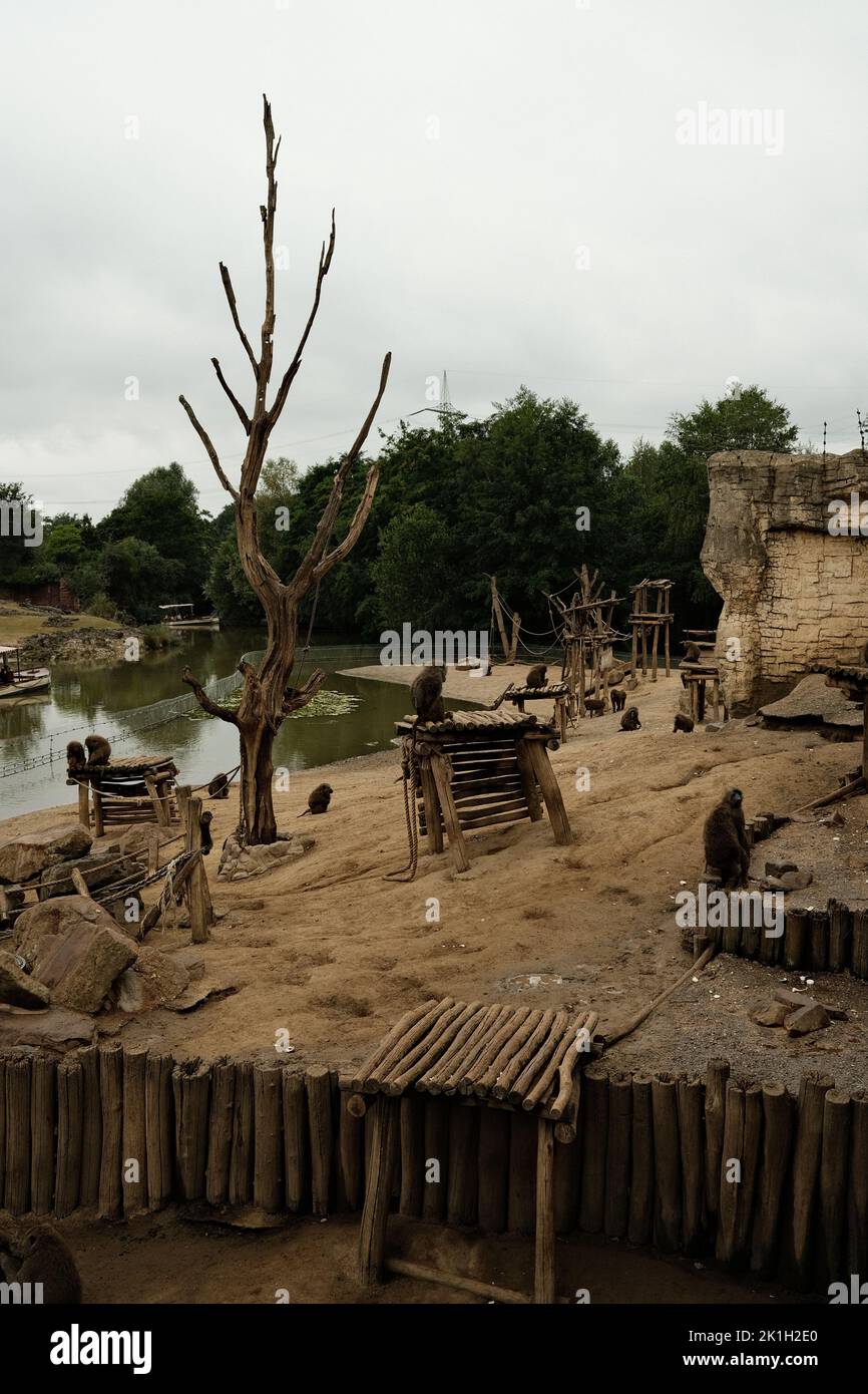 Eine vertikale Aufnahme von Affengehege im Zoo ''Zoom Erlebniswelt ...