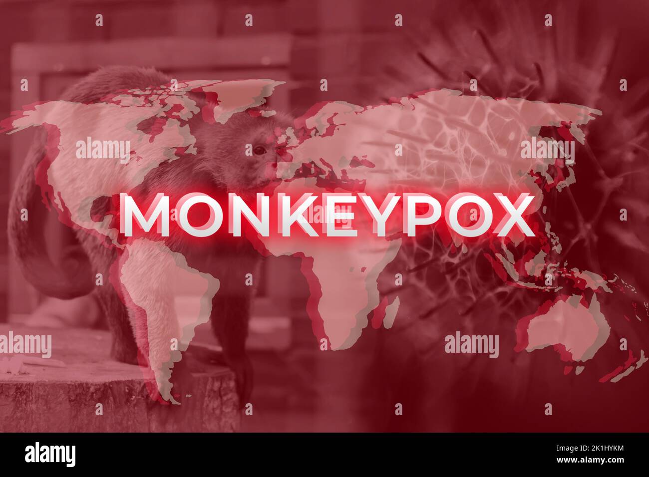 Monkeypox neue Krankheit gefährlich auf der ganzen Welt. Monkeypox ...