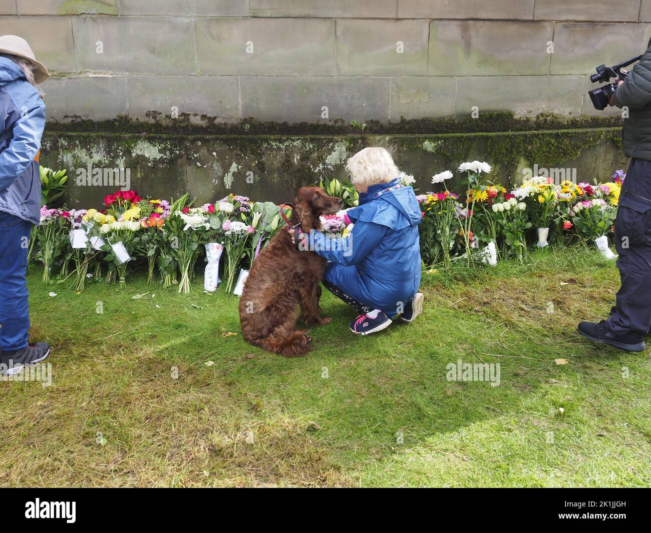 Ein Kind mit ihrem Hund, das Blumen für die Königin im Palace of ...