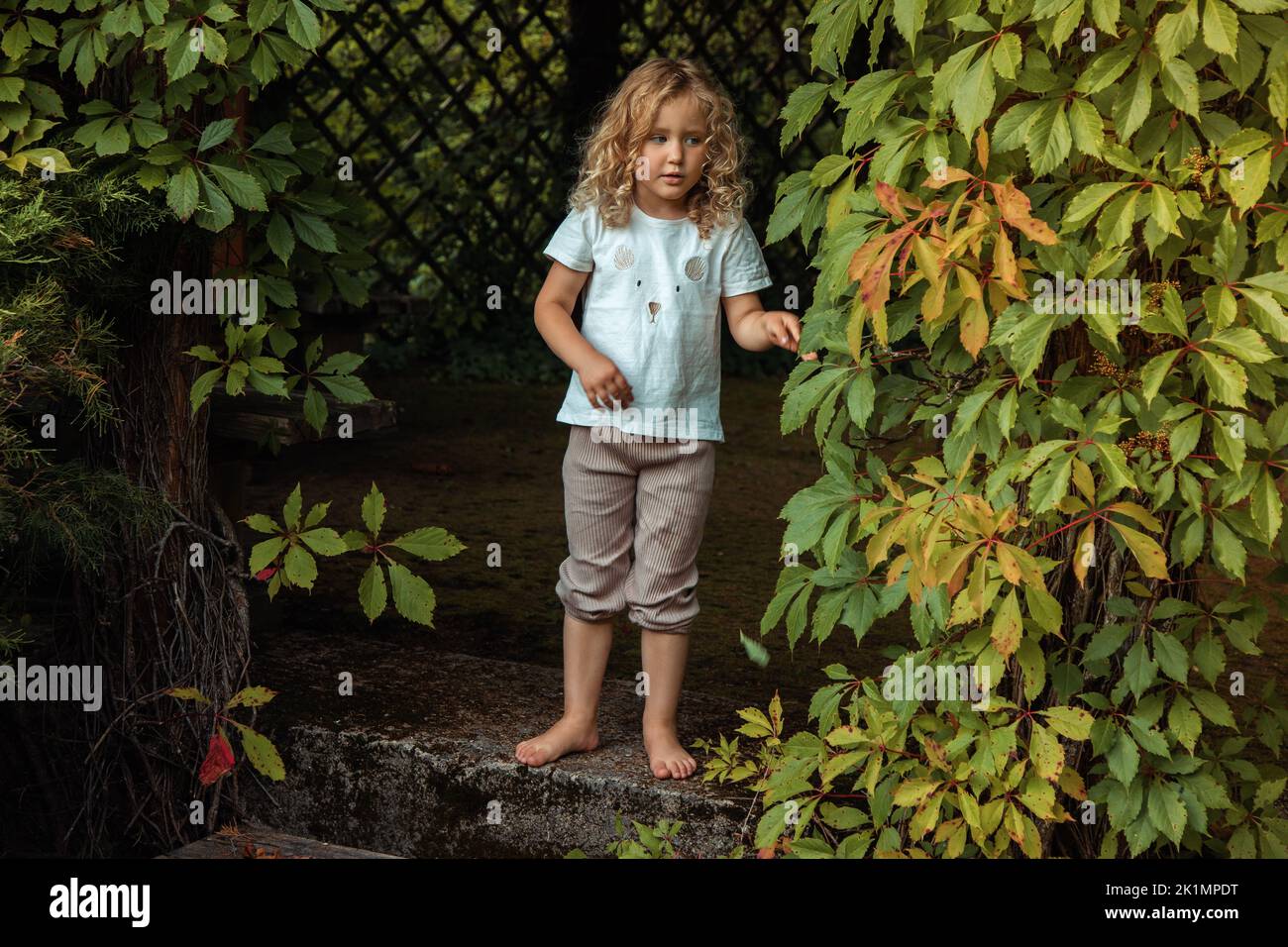 Porträt eines barfuß-Mädchen, das auf einer alten Treppe in einem mit ...