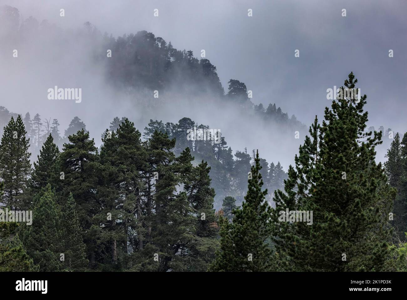 Larra karstmassiv -Fotos und -Bildmaterial in hoher Auflösung – Alamy