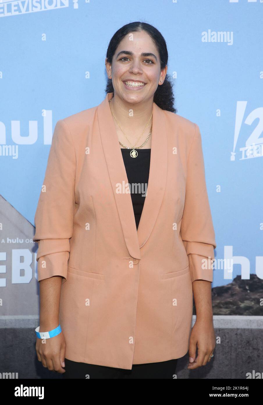 Kimia behpoornia -Fotos und -Bildmaterial in hoher Auflösung – Alamy