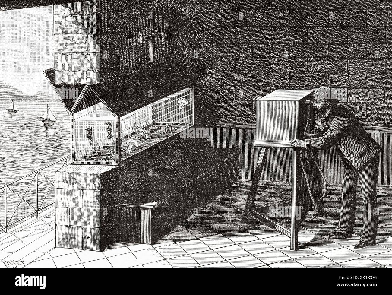 Ozeanographie geschichte historisches archiv archiv -Fotos und -Bildmaterial in hoher Auflösung ...