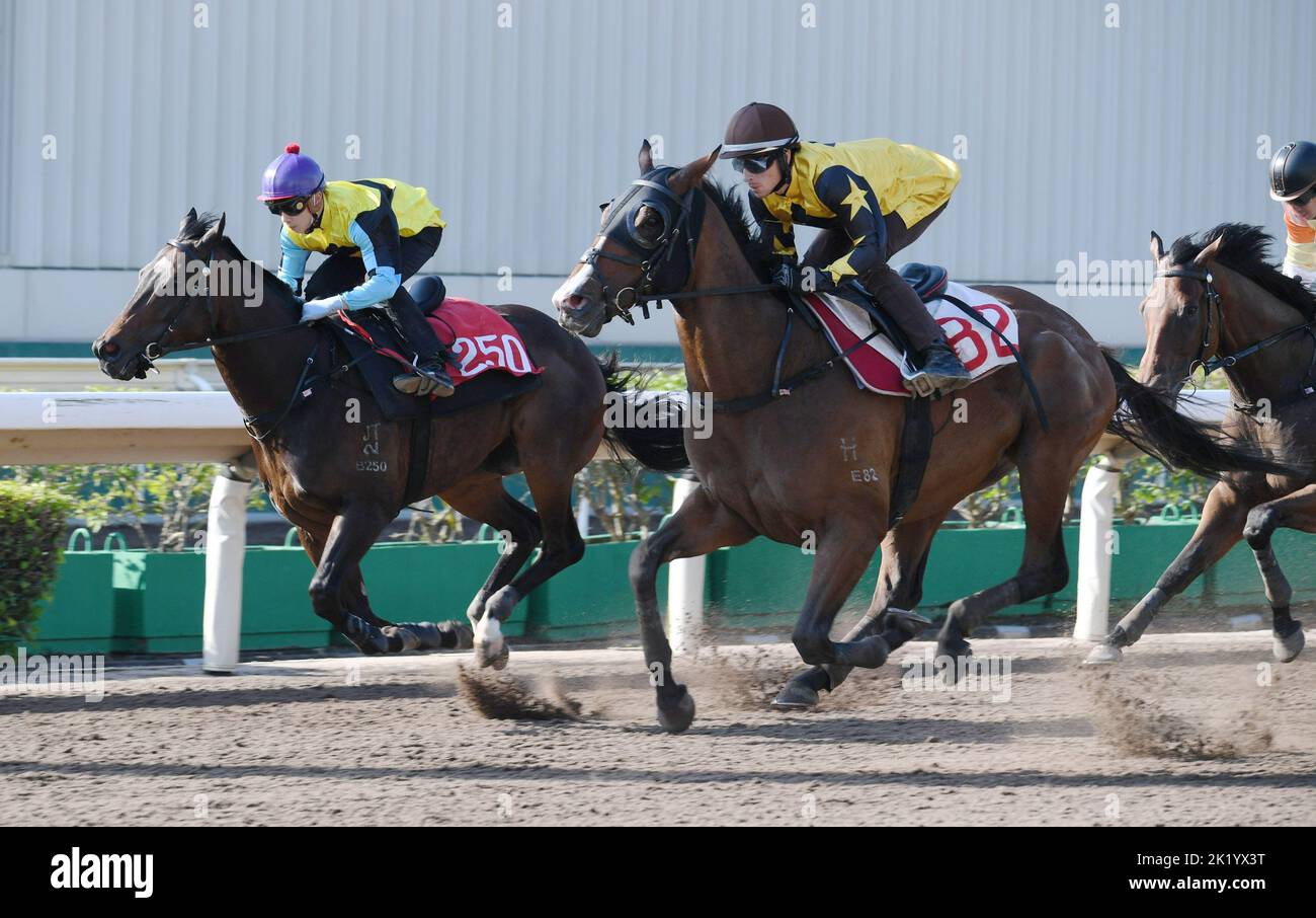 DURHAM STAR (82), unter der Sattel von Lyle Hewitson, gewann die ...