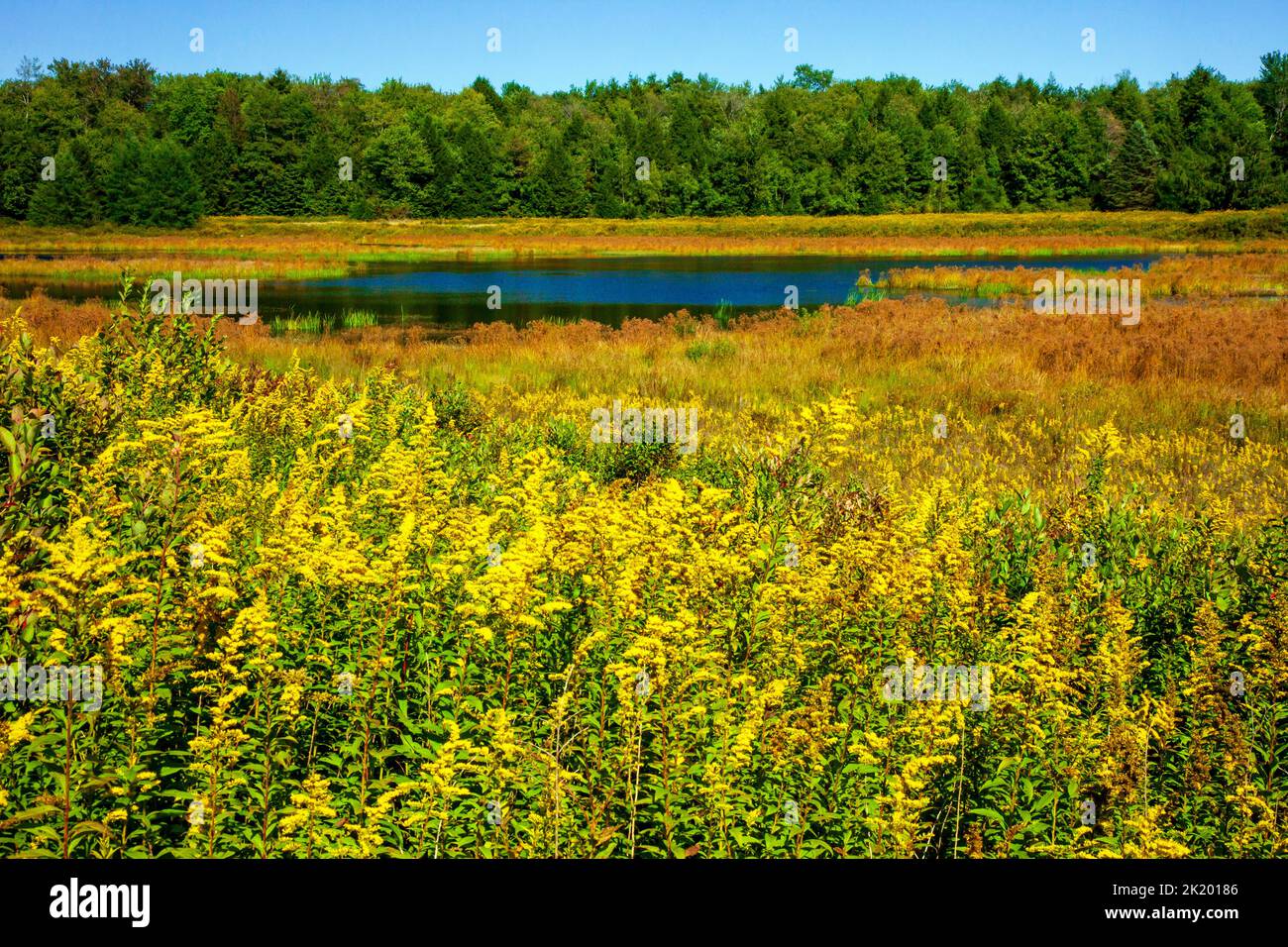 Upper Klondike Pond, zusammen mit seiner Schwester Lower Klondike Pond ...