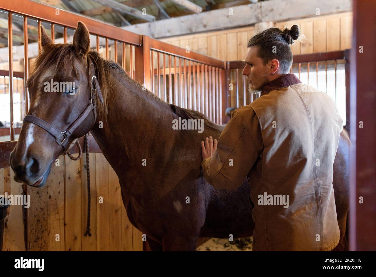 Stehendes pferd in einem stall -Fotos und -Bildmaterial in hoher ...