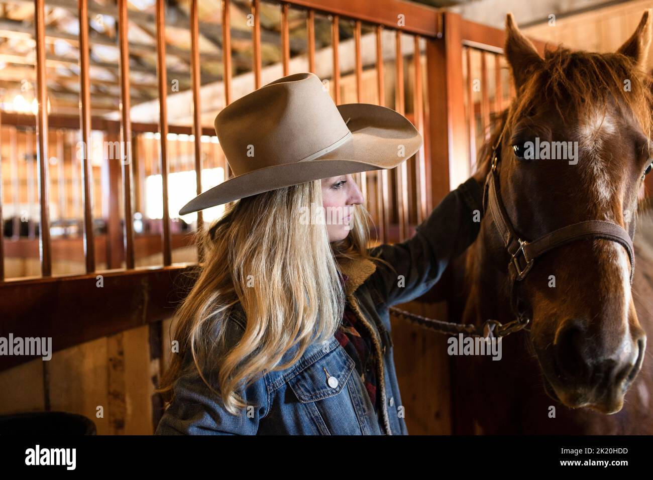 Stehendes pferd in einem stall -Fotos und -Bildmaterial in hoher ...