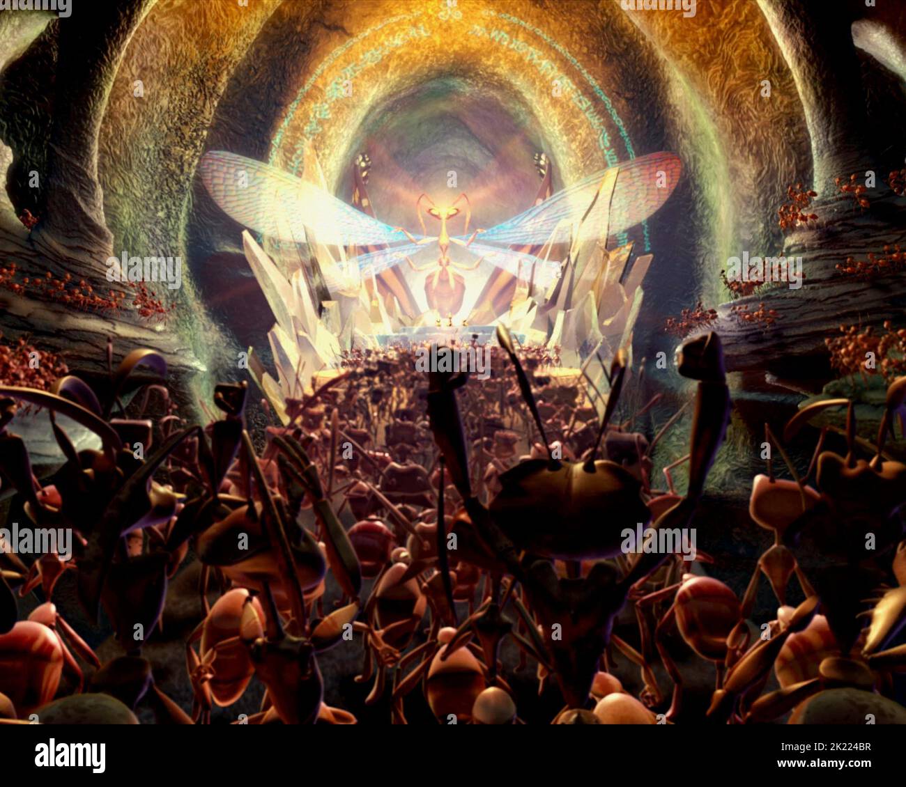 Ant queen ant -Fotos und -Bildmaterial in hoher Auflösung – Alamy