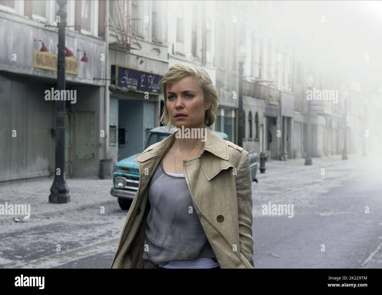 Mitchell rose -Fotos und -Bildmaterial in hoher Auflösung – Alamy