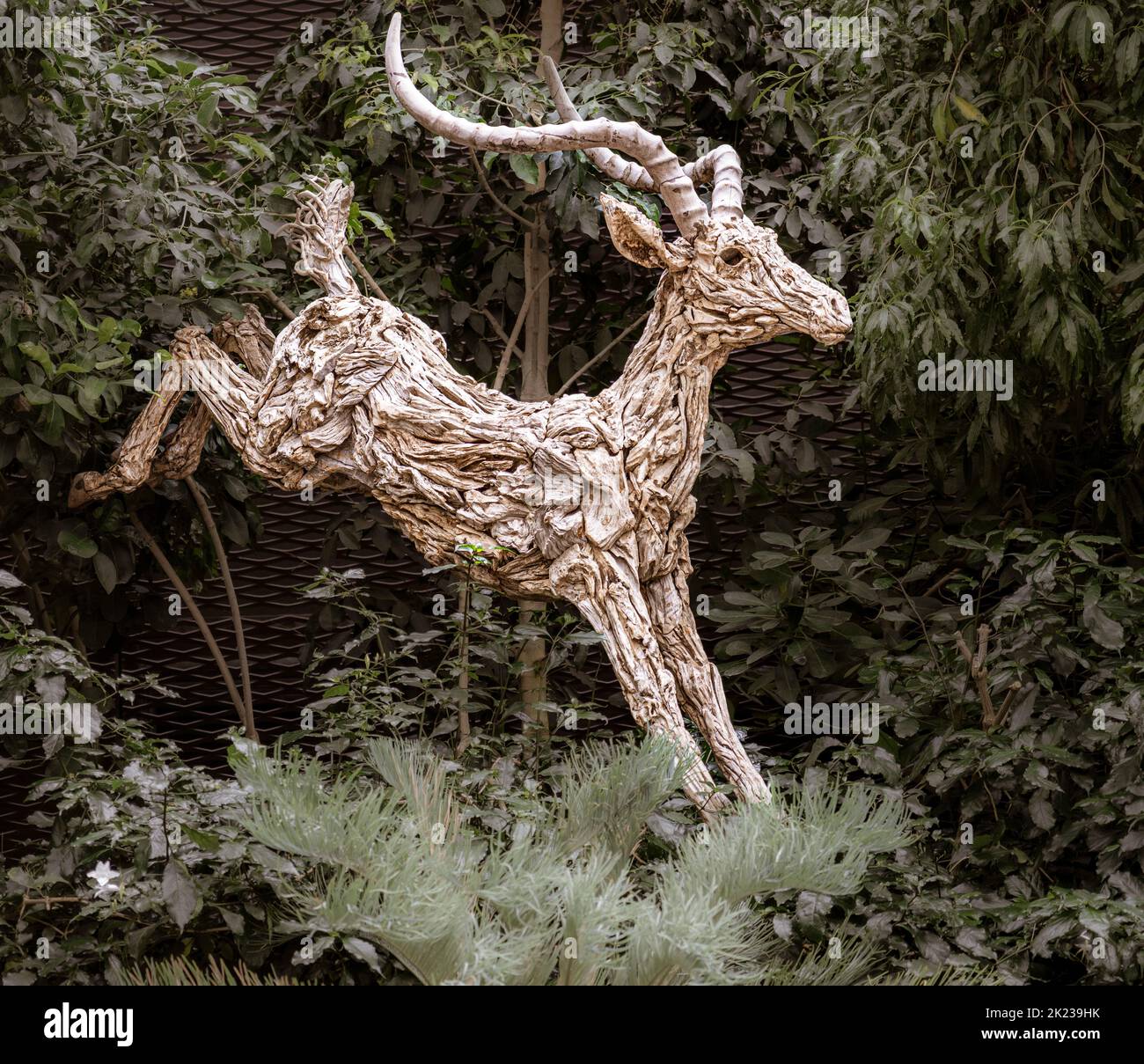 Springende antilopen -Fotos und -Bildmaterial in hoher Auflösung – Alamy