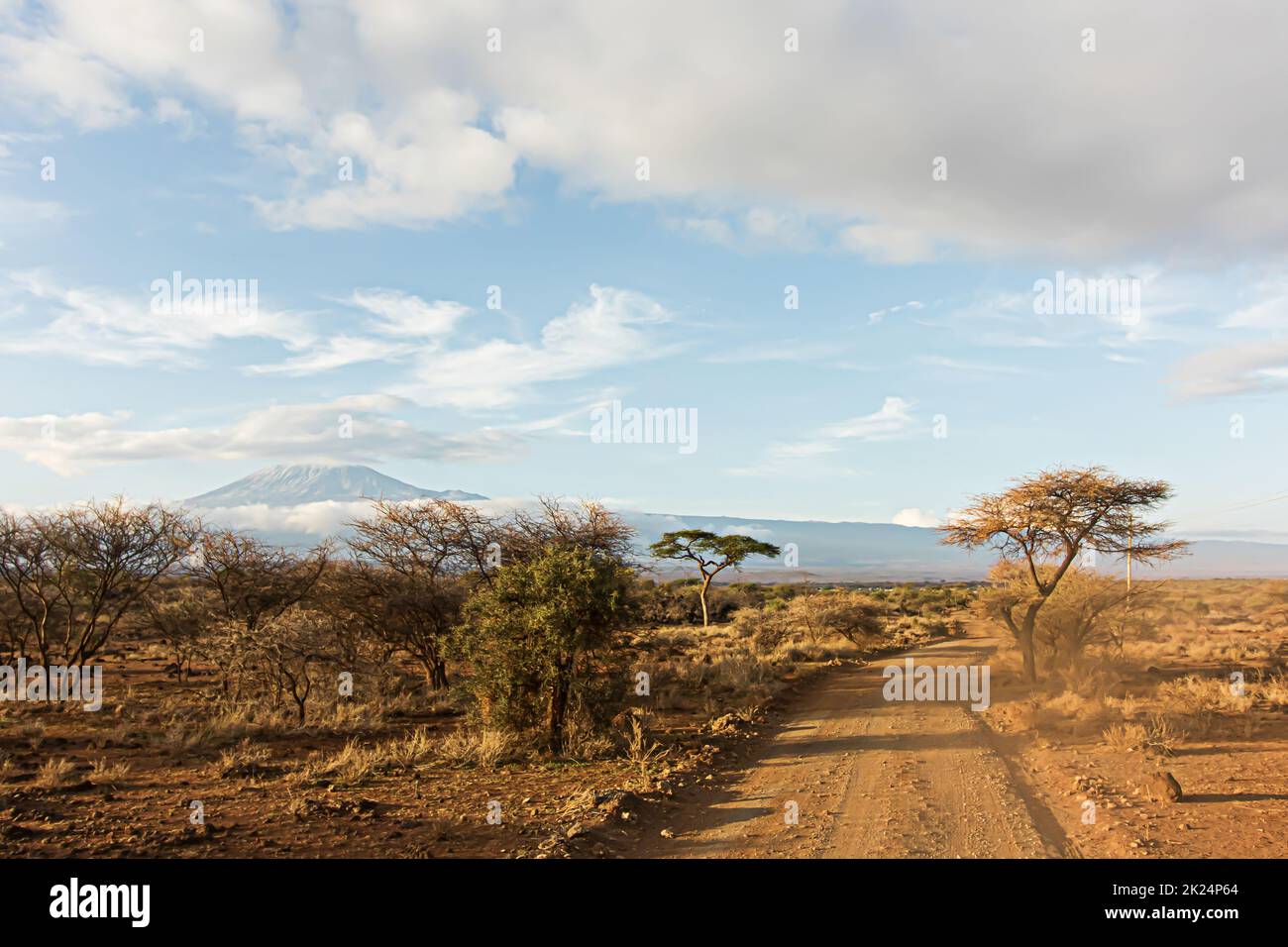 Panoramablick im Morgenlicht auf die Savanne im Amboseli National Park ...