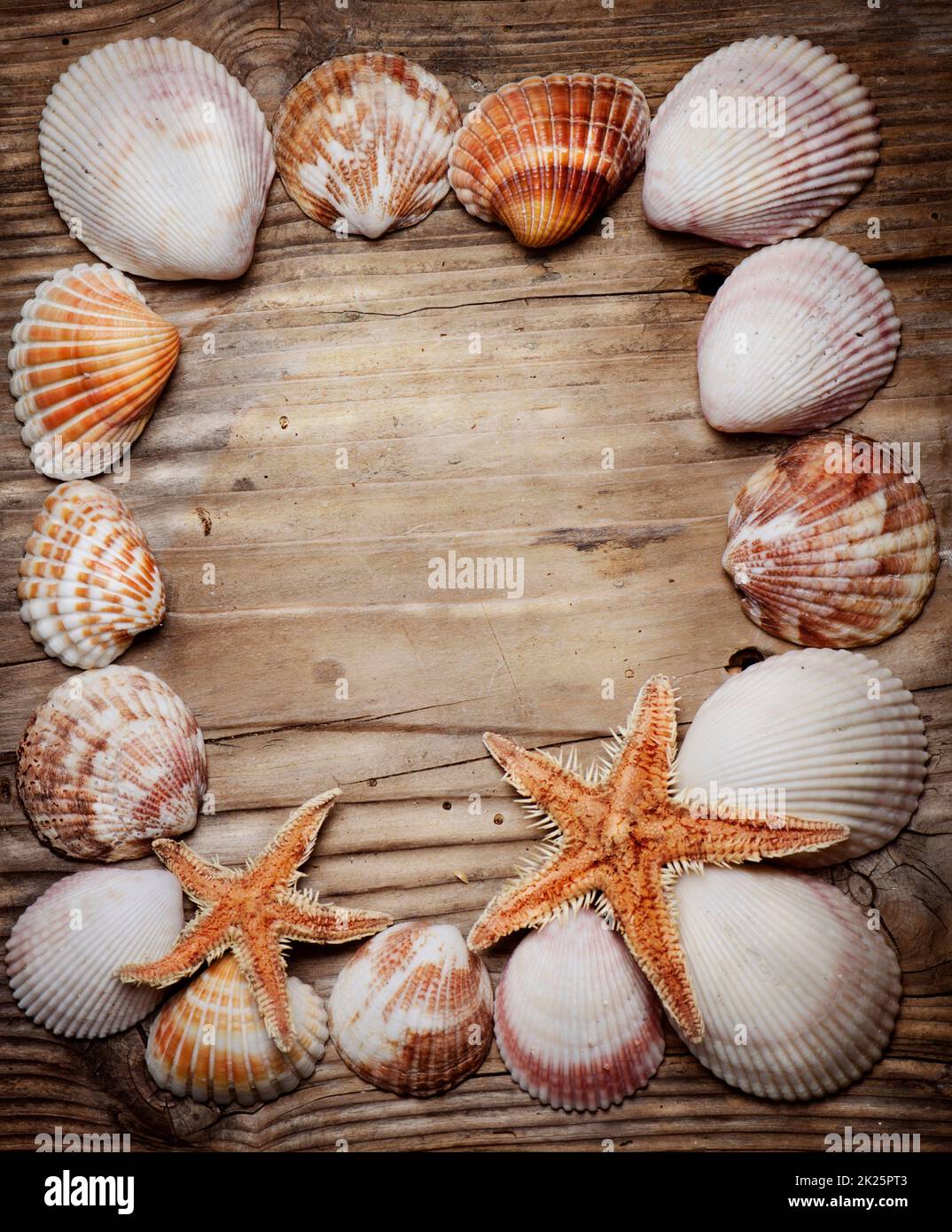 Muschelschalen karte -Fotos und -Bildmaterial in hoher Auflösung – Alamy