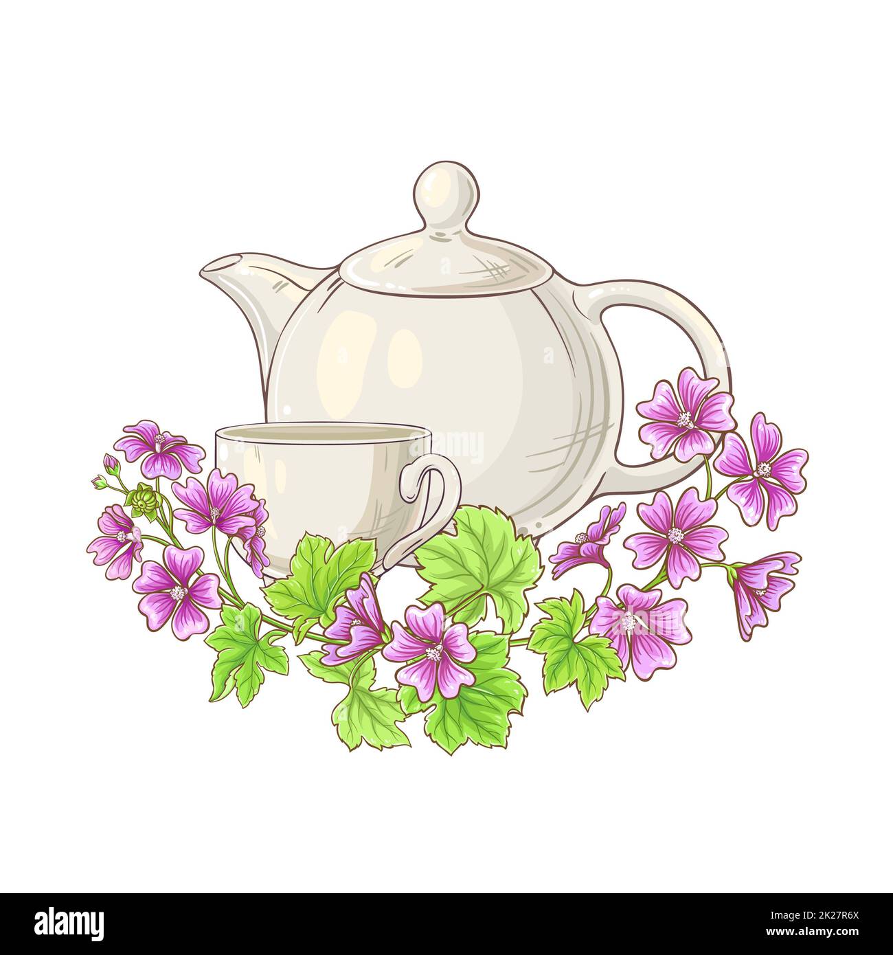 Malva tee -Fotos und -Bildmaterial in hoher Auflösung – Alamy