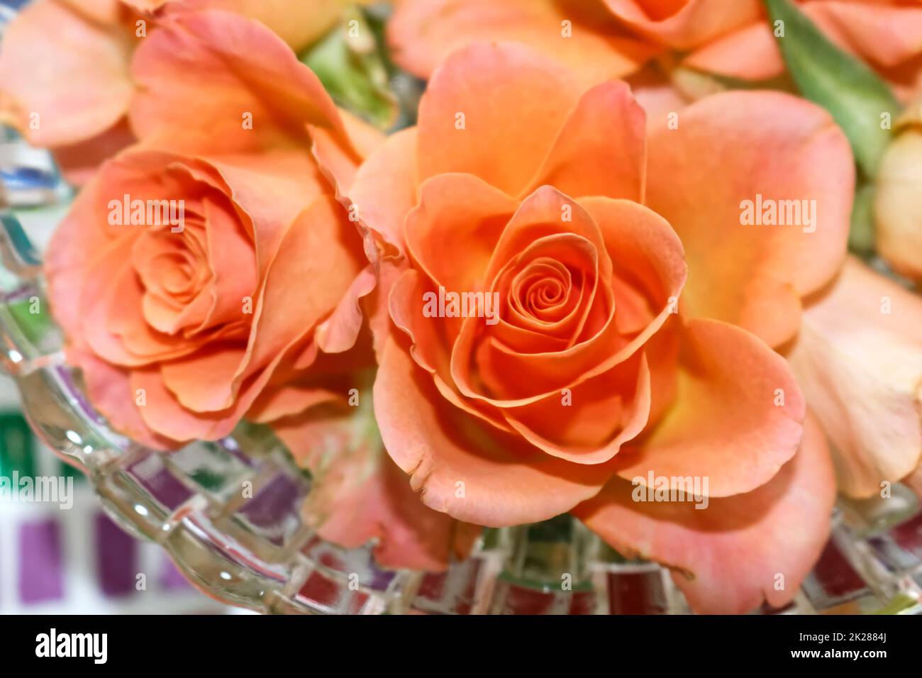 Teller mit rosen -Fotos und -Bildmaterial in hoher Auflösung – Alamy
