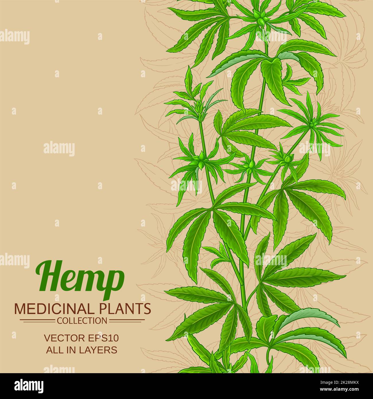 Hanf vektor -Fotos und -Bildmaterial in hoher Auflösung – Alamy
