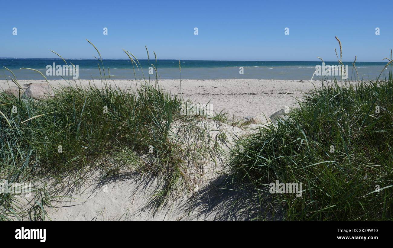 Niendorf ostsee -Fotos und -Bildmaterial in hoher Auflösung – Alamy