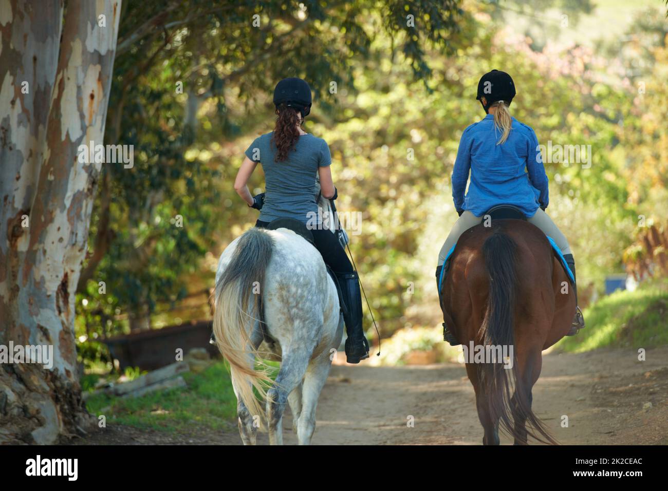 Ihre Pferde in die Wildnis führen. Rückansicht von zwei Frauen, die ...