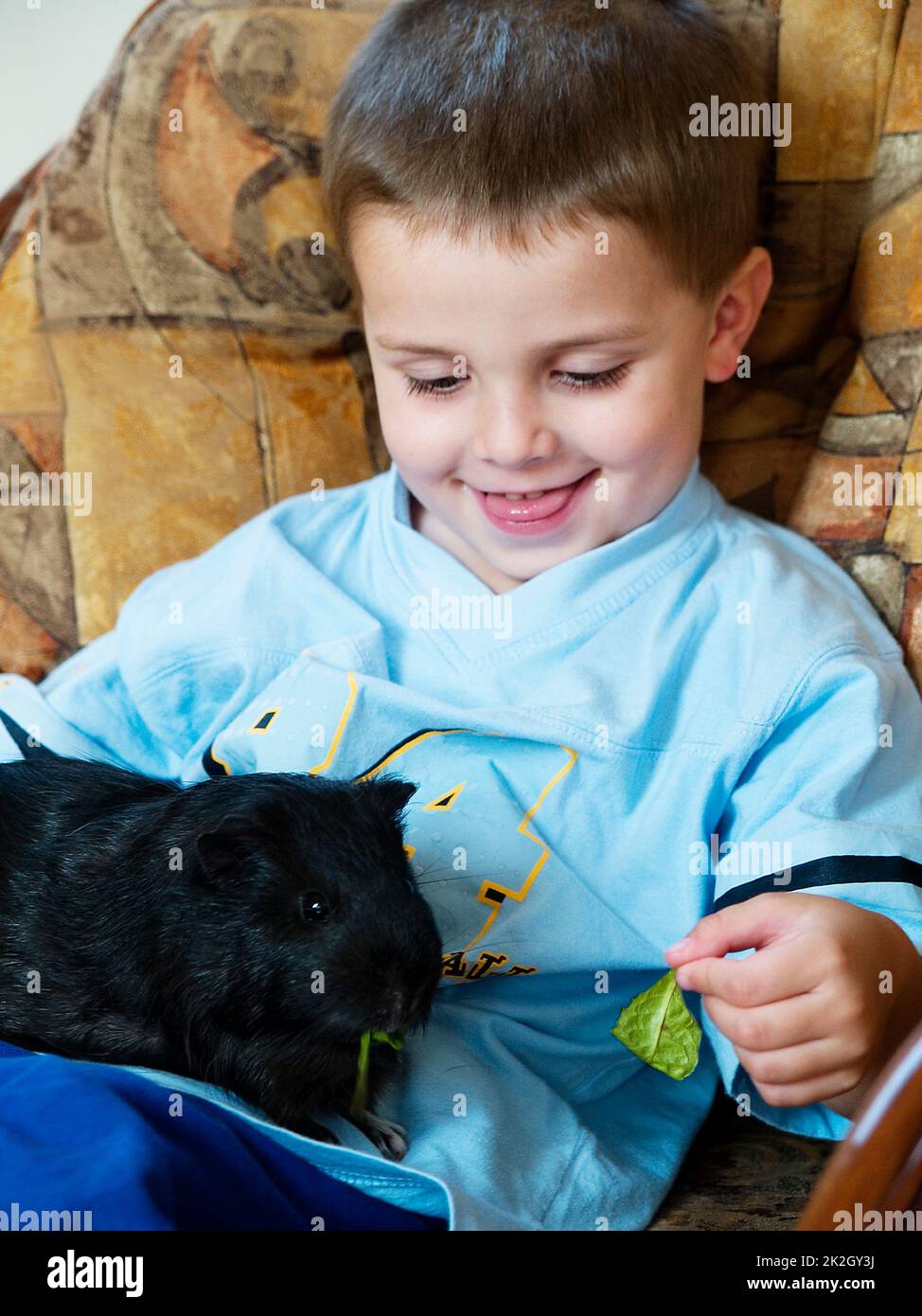 Genosse -Fotos und -Bildmaterial in hoher Auflösung – Alamy