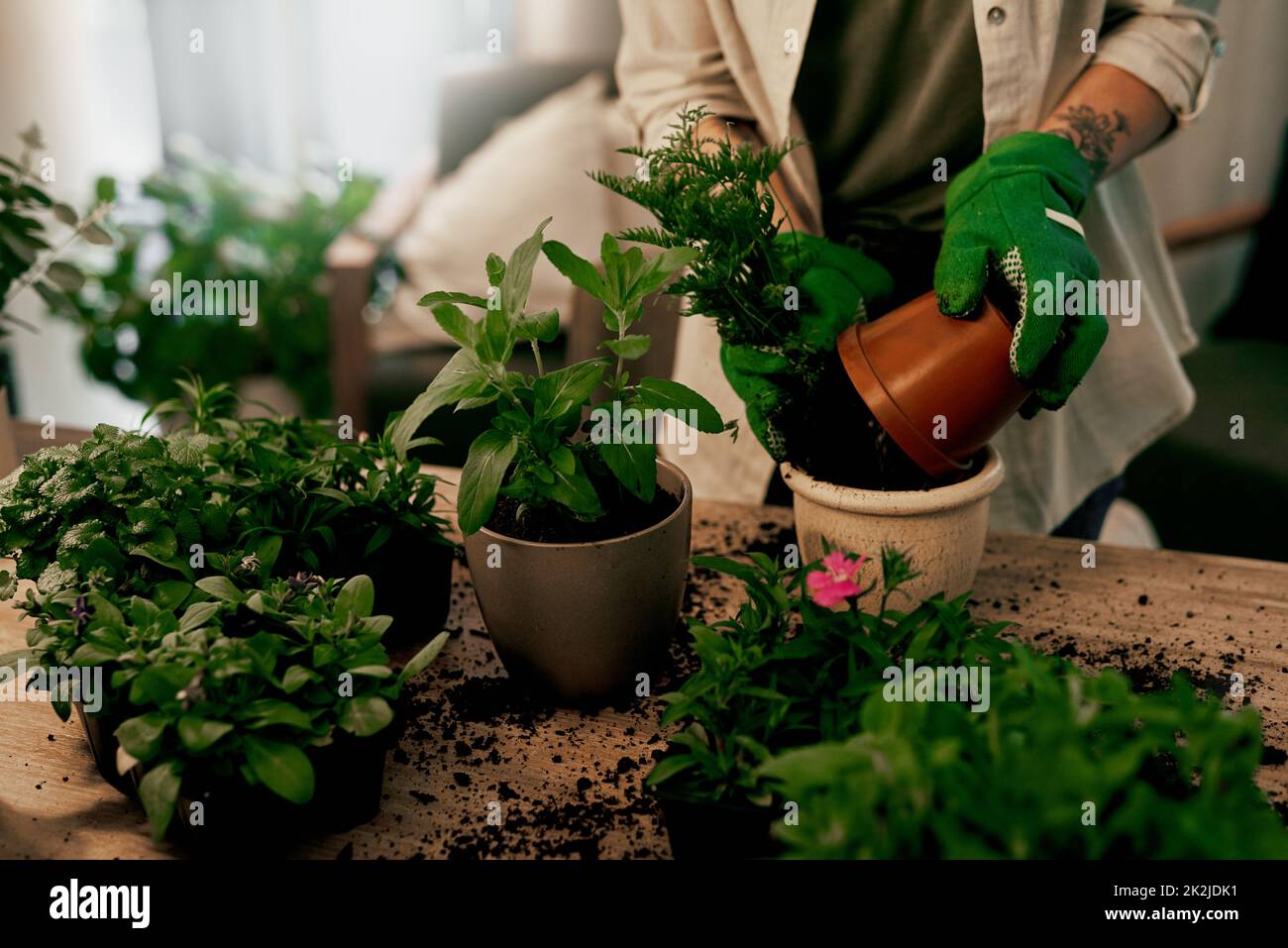 Hier kann es etwas chaotisch werden. Ausgeschnittene Aufnahme einer ...