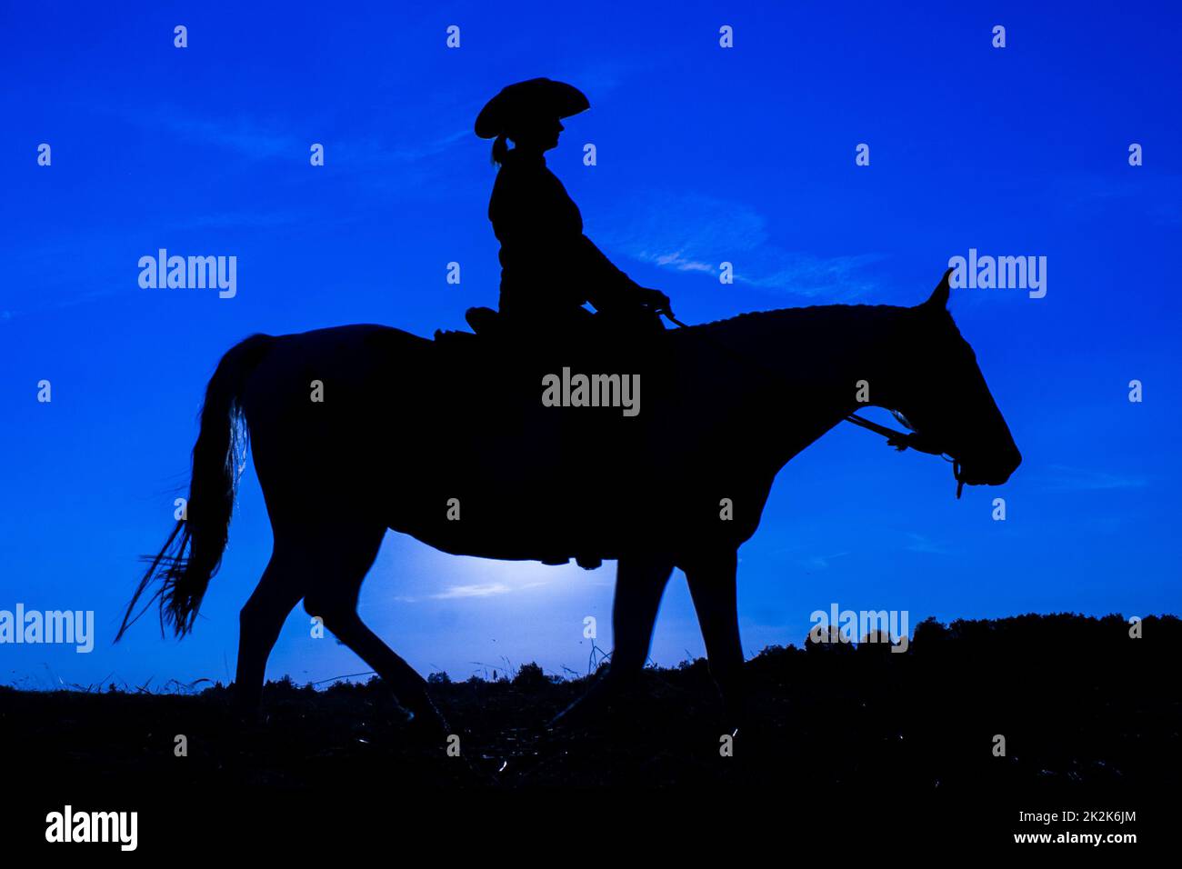 Silhouette mädchen auf pferd -Fotos und -Bildmaterial in hoher Auflösung – Alamy