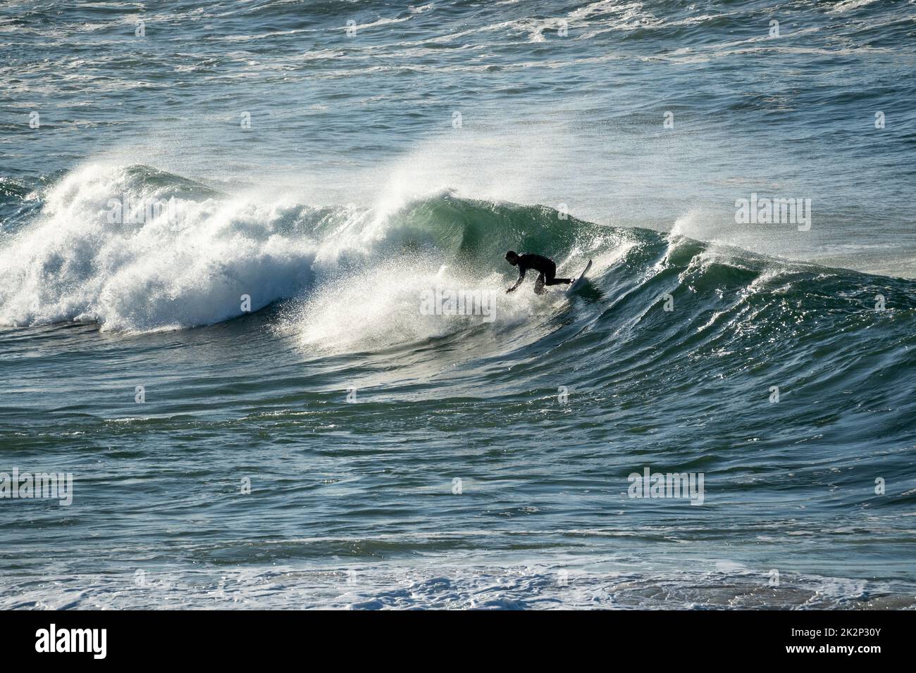 Ein Surfer, der morgens in Bondi Beach, Australien, eine Welle einfängt ...