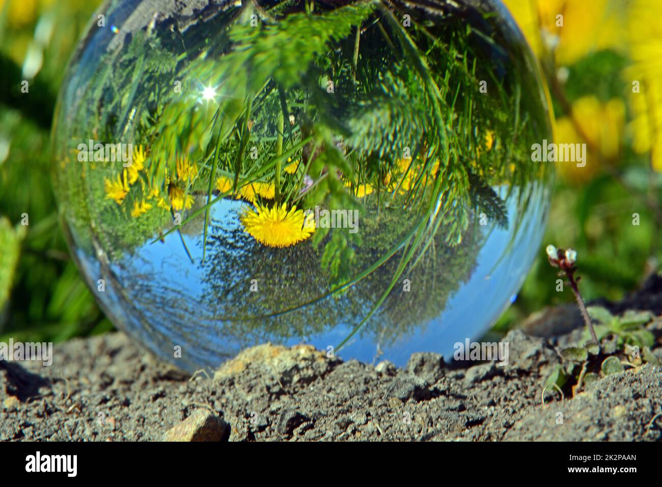 Glas kugel -Fotos und -Bildmaterial in hoher Auflösung – Alamy